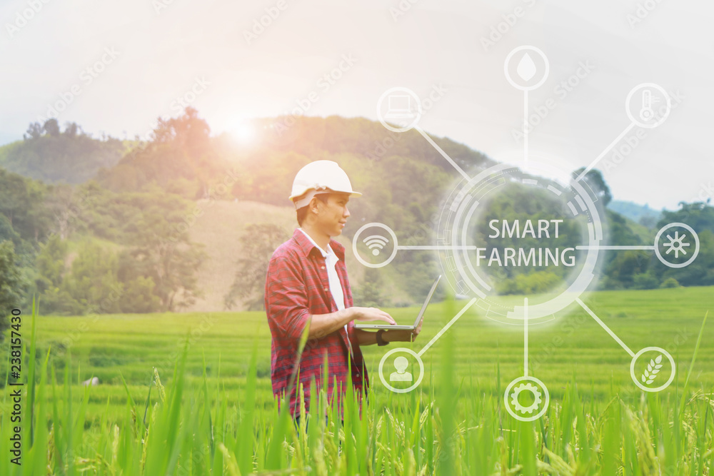 Smart Farming.Management Information System using technologies in ...