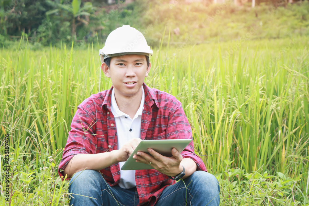 Smart Farming.Management Information System using technologies in ...