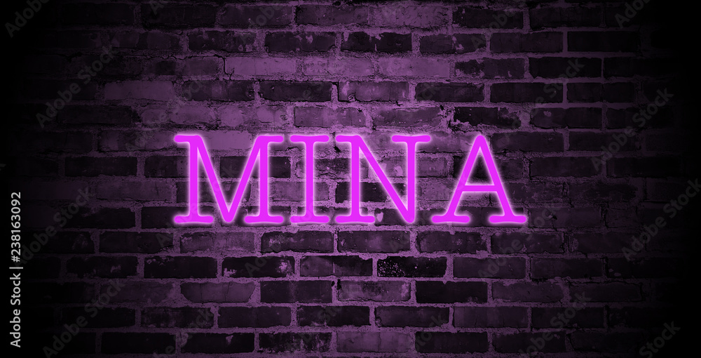 Mina The Name