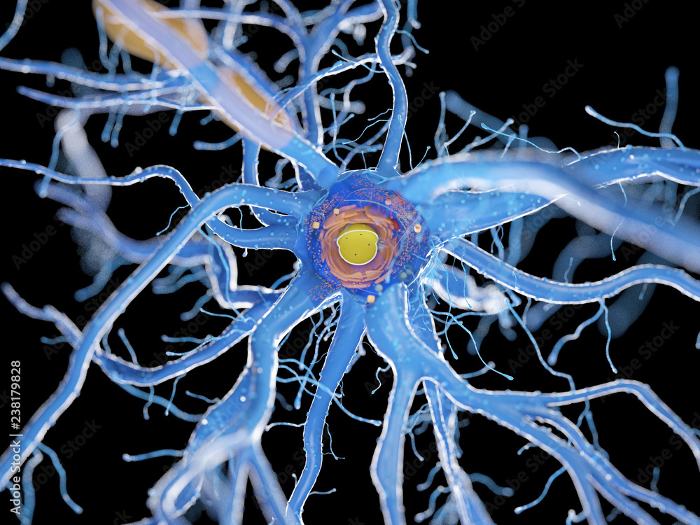 3d rendered medically accurate illustration of a nerve cell cross ...