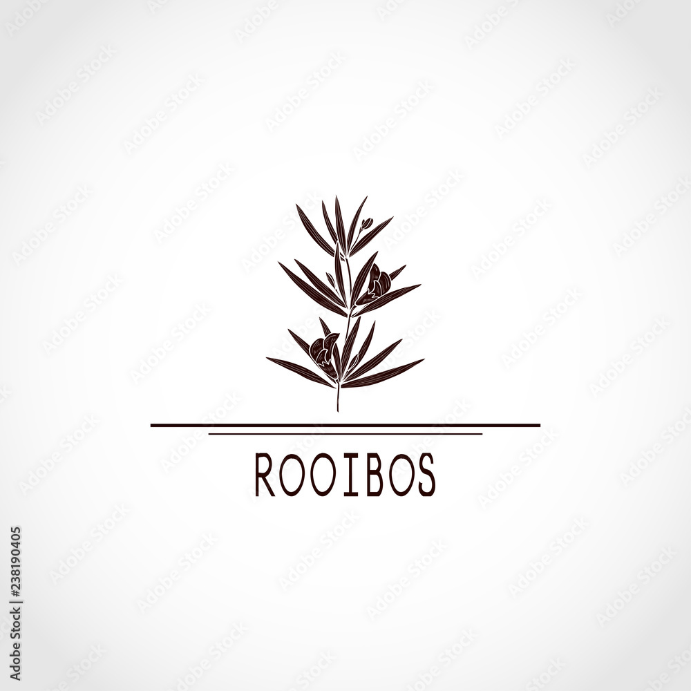 Rooibos. Leaves, flower. Monophonic. Black silhouette, text. Logo ...