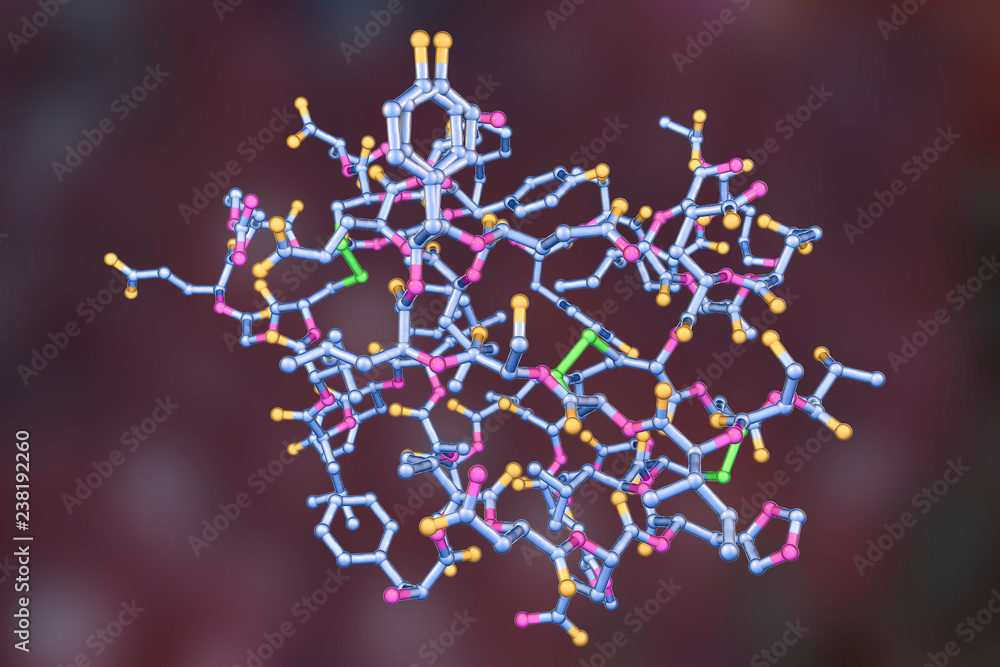 Molecular model of insulin hormone, 3D illustration. It is produced by ...