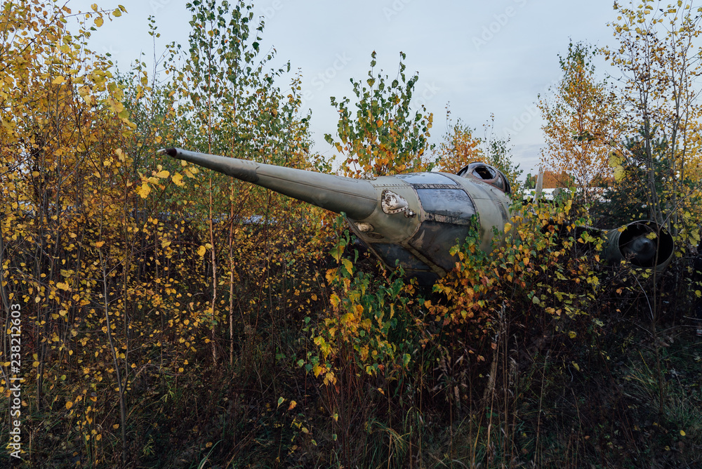 the old plane stands in the bushes and rust. dust-covered the entire ...