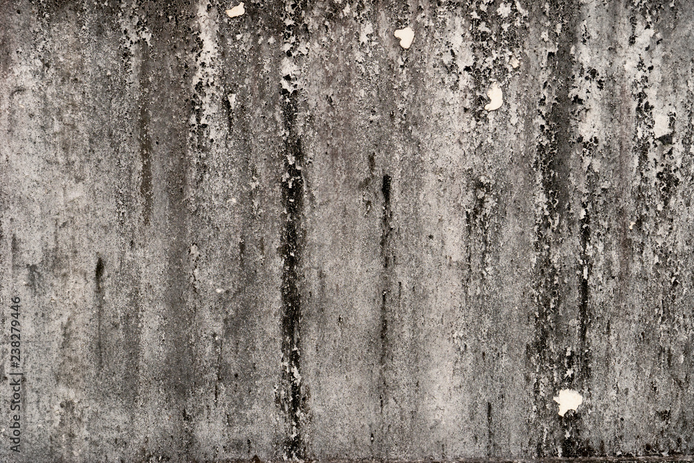 Old cement wall with white mold and fall off. for Background and ...