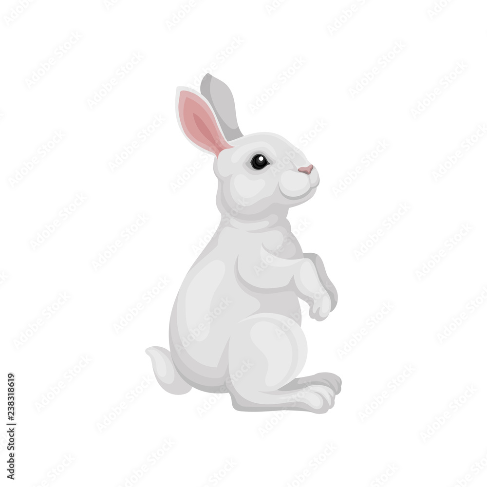 Cute rabbit standing on hind legs, side view. Adorable animal with ...