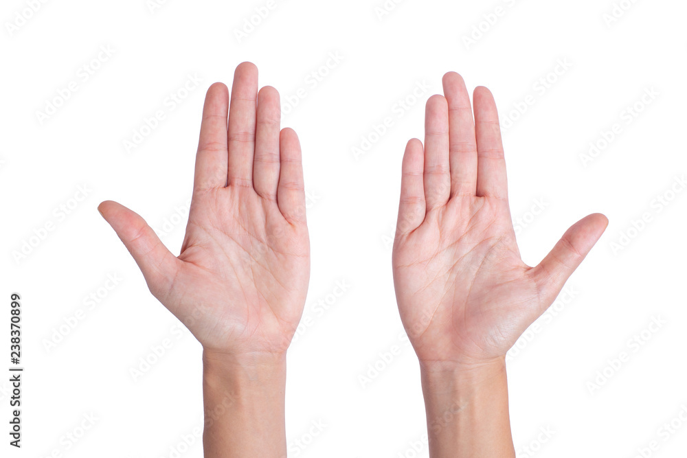 Isolated image of human hand sign or symbol in white background Stock ...