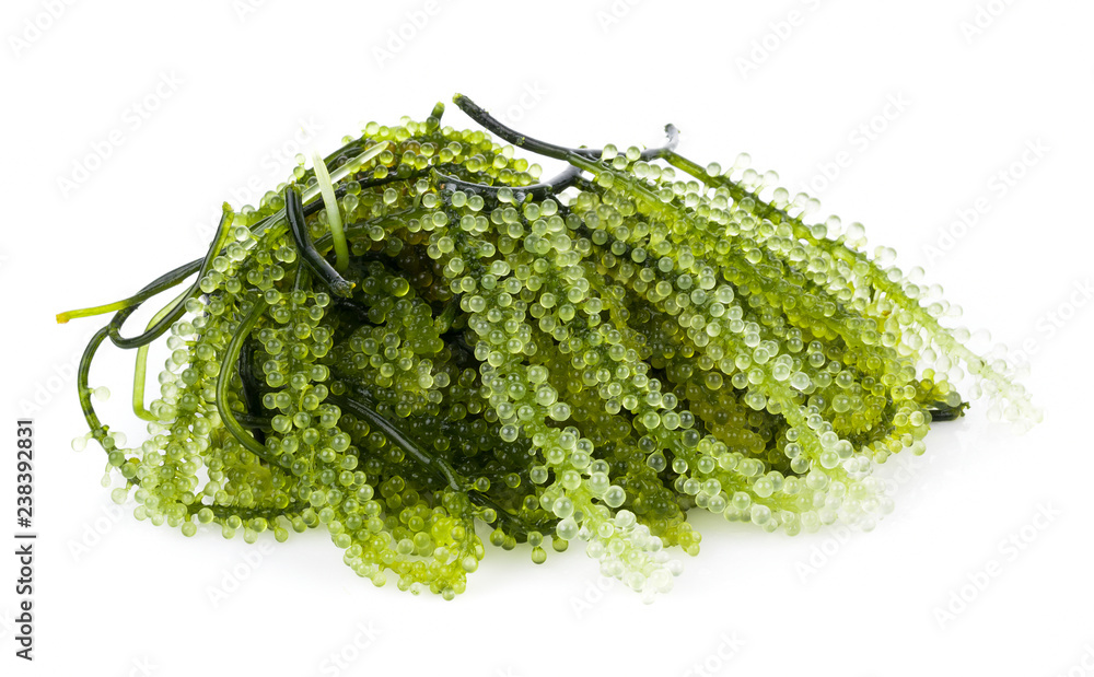 Sea grapes ( green caviar ) seaweed on white background Stock Photo ...