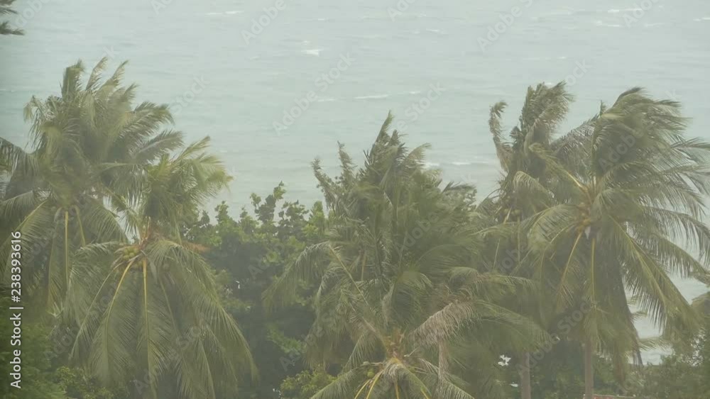 Seaside landscape during natural disaster hurricane. Strong cyclone ...