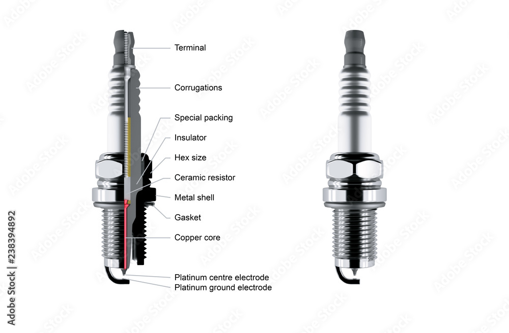 Spare parts cutaway spark plugs on white background for car and ...