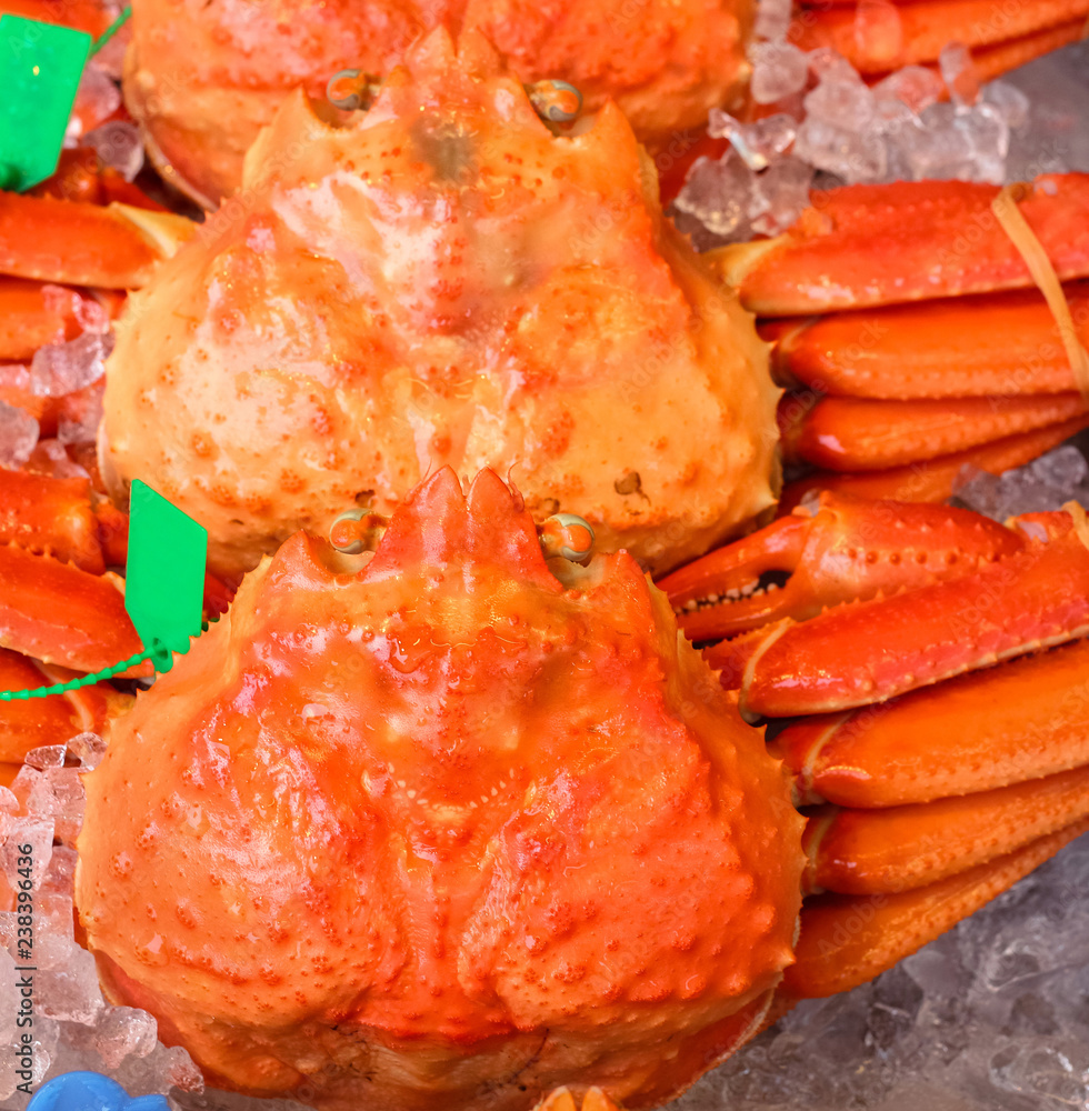 fresh delicious Japanese snow crab at Kinosaki onsen Japan ภาพถ่ายสต็อก ...