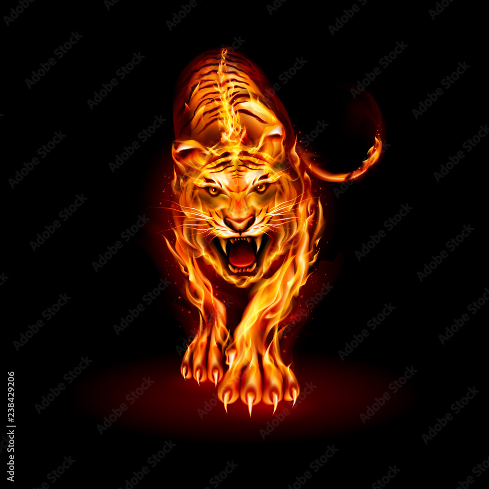 Fire Tiger Stock Vector | Adobe Stock