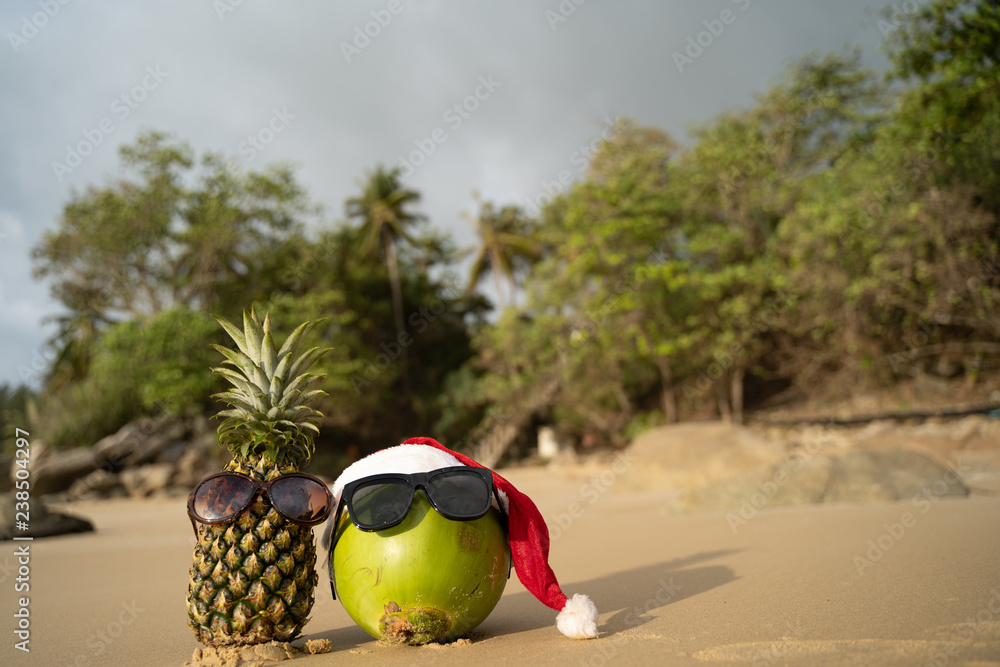 Coconut Holiday with glasses and Santa Claus hat and pineapple,Concept ...