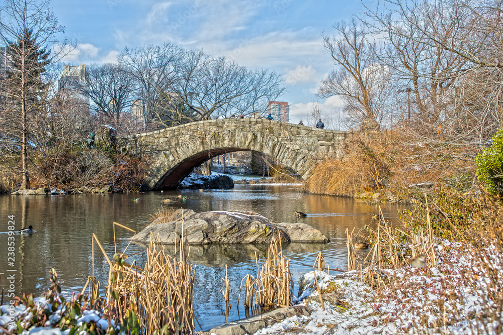 Gapstow Bridge in Central Park New York with Snow Stock Photo | Adobe Stock