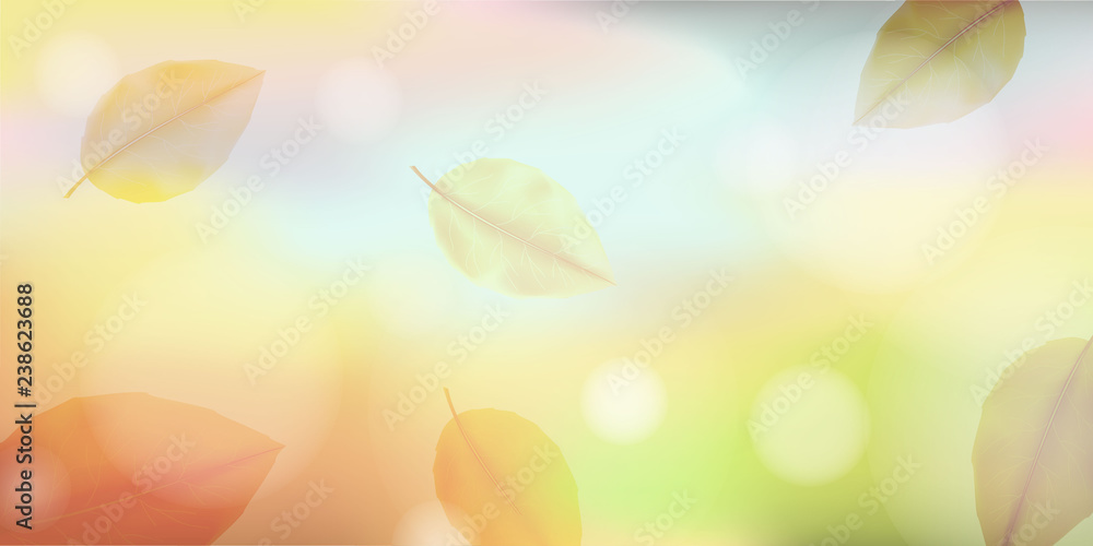Autumn background blur with leaf fall. Abstract light rectangular ...