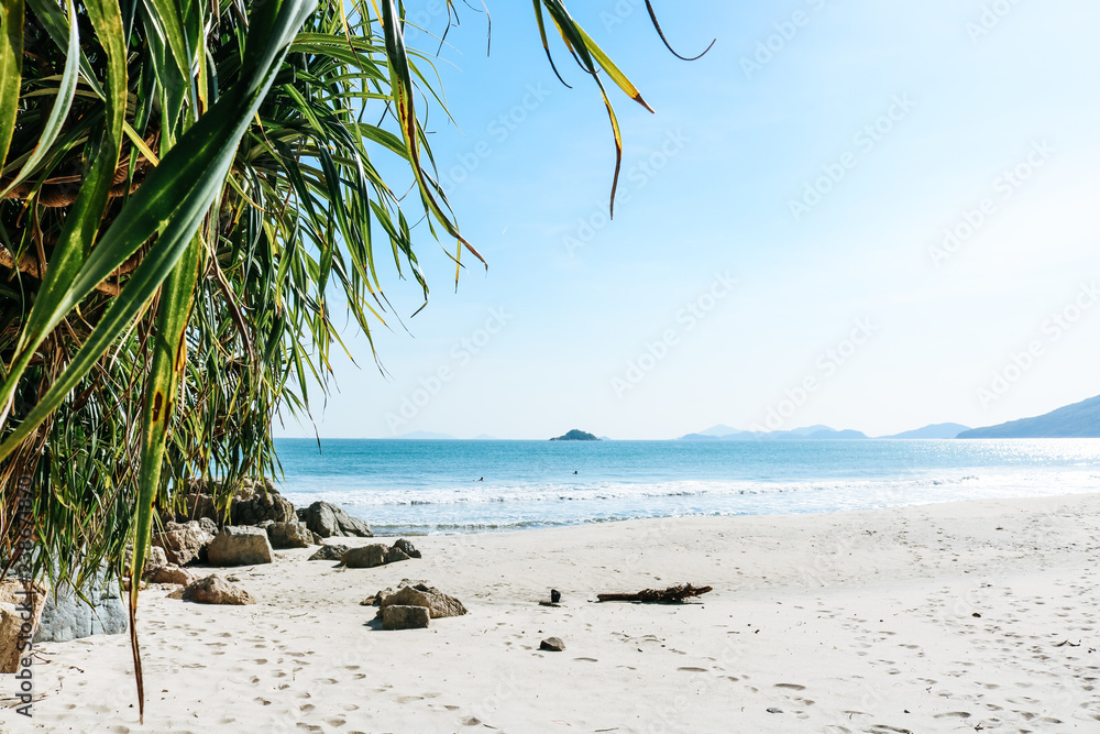 Beautiful, scenic view through palm tree leaves of Cheung Sha Beach on ...