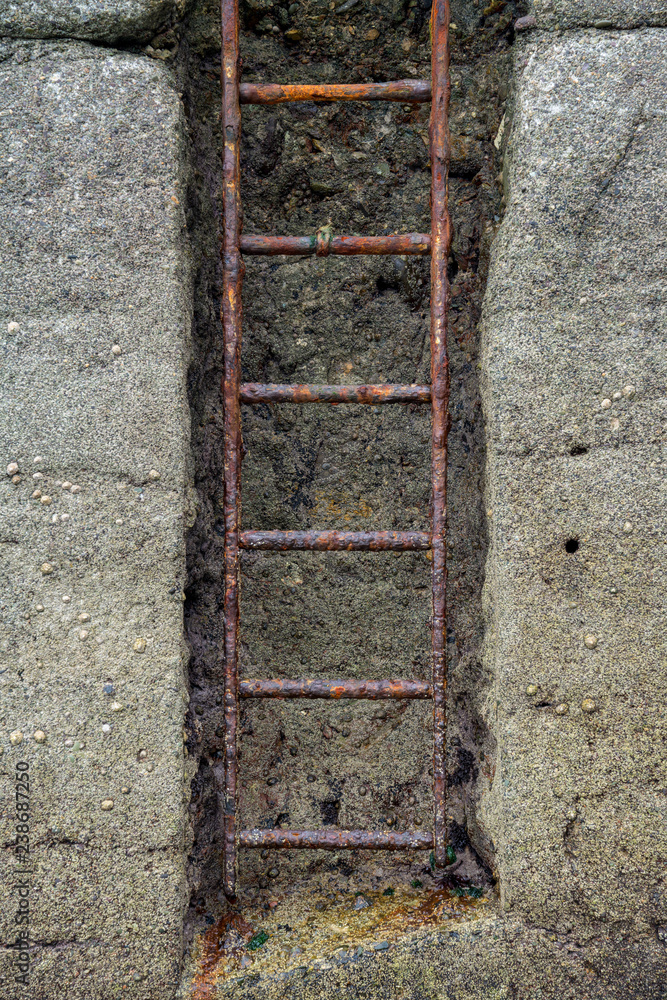 rusty ladder by the dock Stock Photo | Adobe Stock