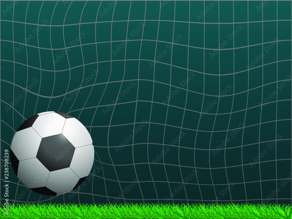 Soccer Goal Front View