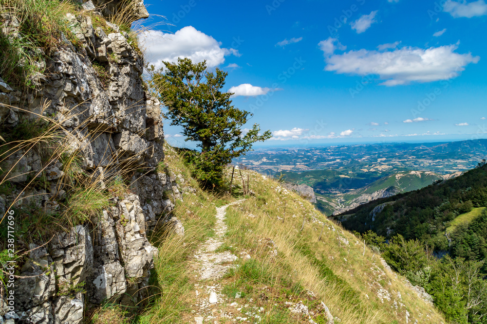 Sentiero panoramico sul monte Nerone Stock-Foto | Adobe Stock