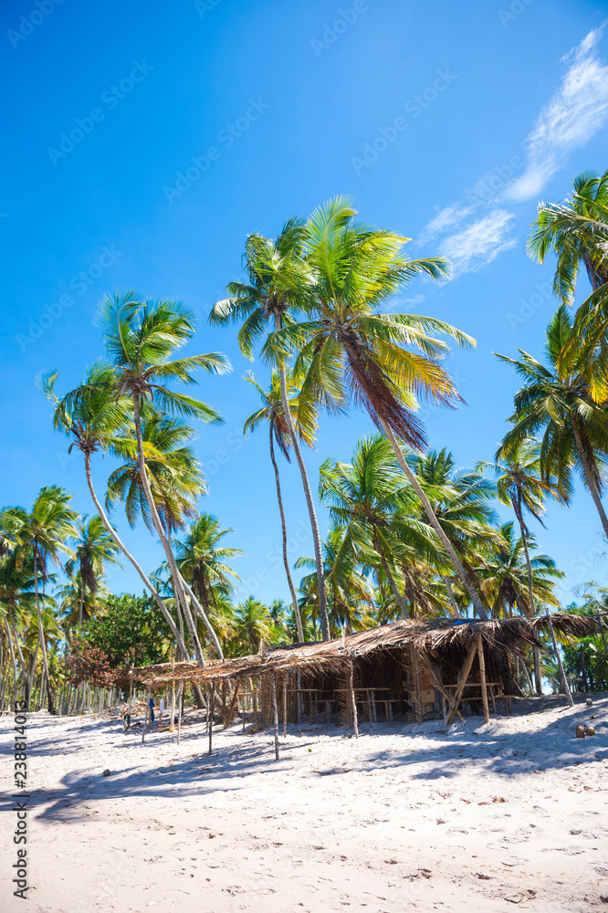 Bright scenic view of the rustic beach shack on a Brazilian beach lined ...