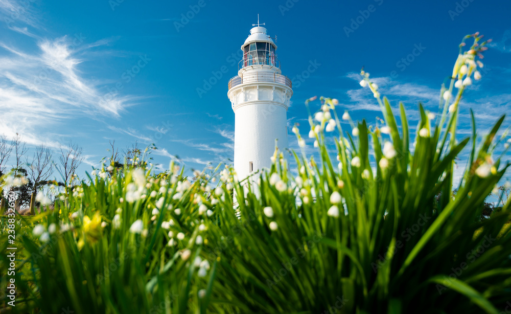 Beautiful Table Cape Lighthouse in Tasmania on a nice summers day ...