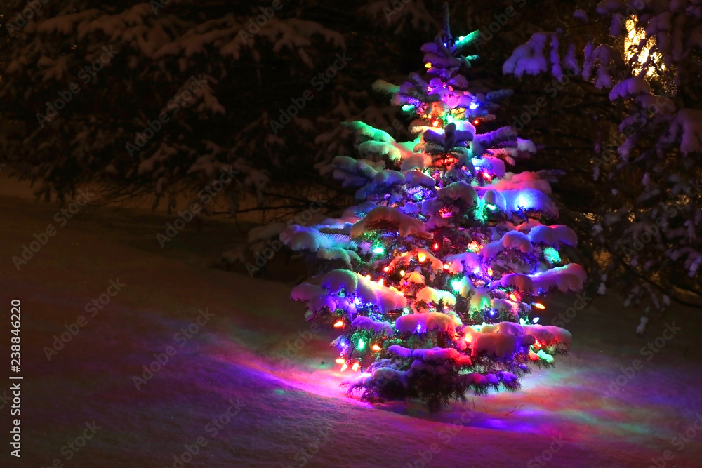 Dark Christmas Tree Wallpaper