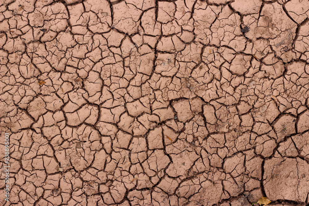 Earth Surface Texture