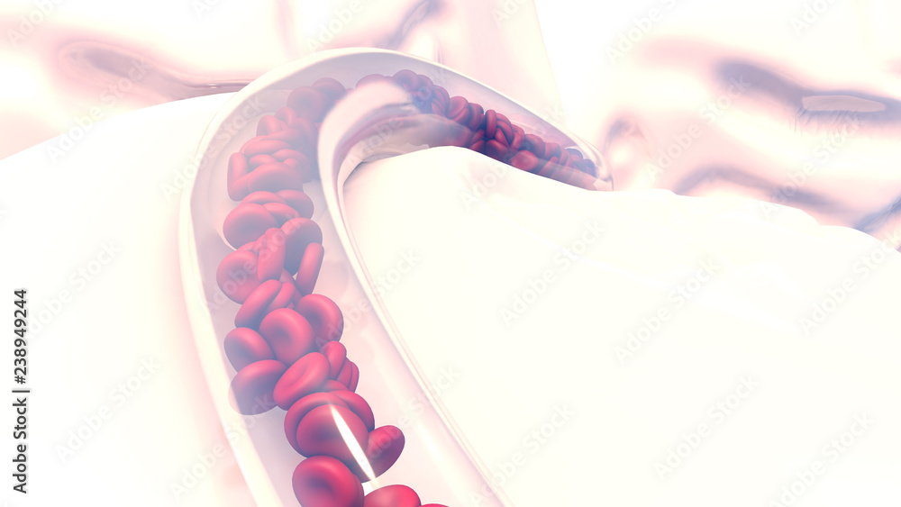 blood cells in blood vessel Stock Illustration | Adobe Stock