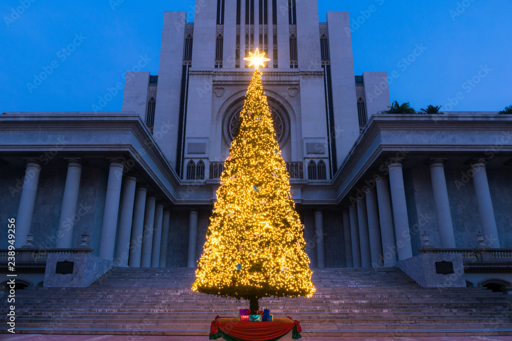 Christmas tree with lights in front of the big roman building. Stock ...