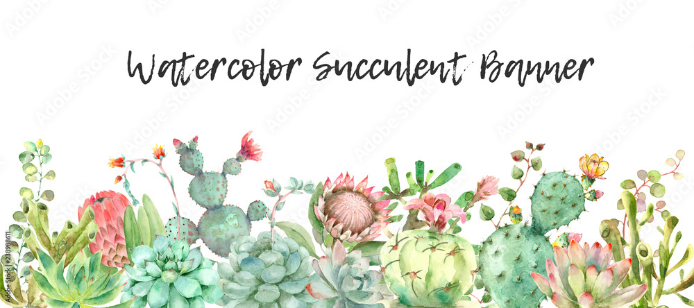 Succulents banner watercolor Stock Illustration | Adobe Stock