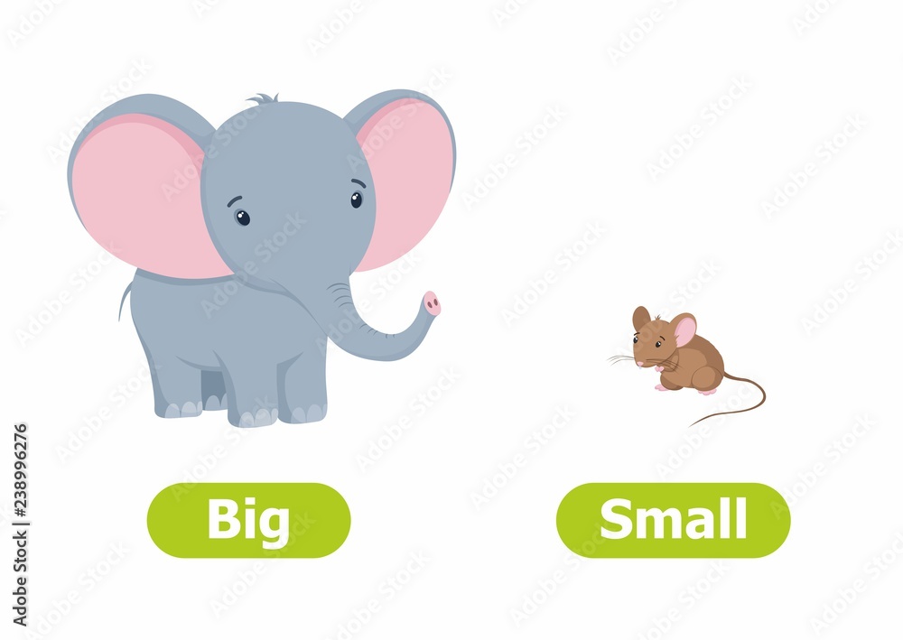 Vector antonyms and opposites. Cartoon characters illustration on white ...