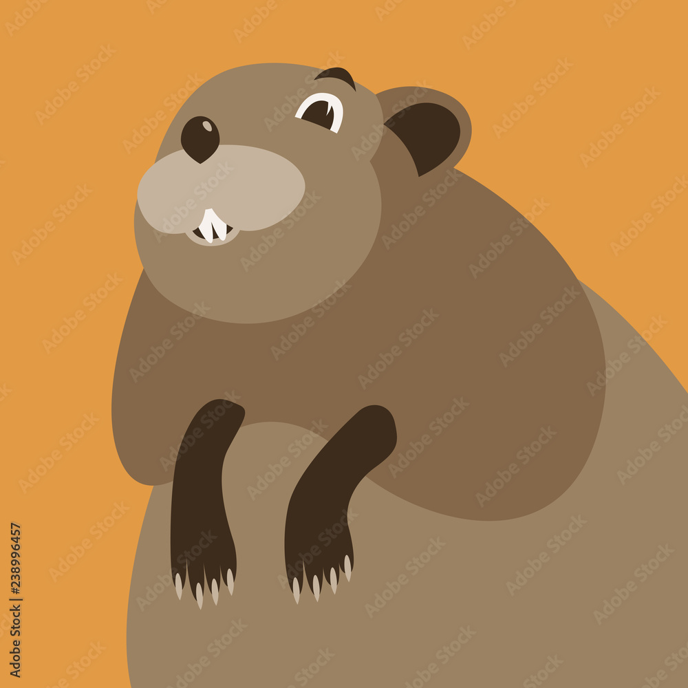 cartoon muskrat face, vector illustration , flat Stock Vector | Adobe Stock