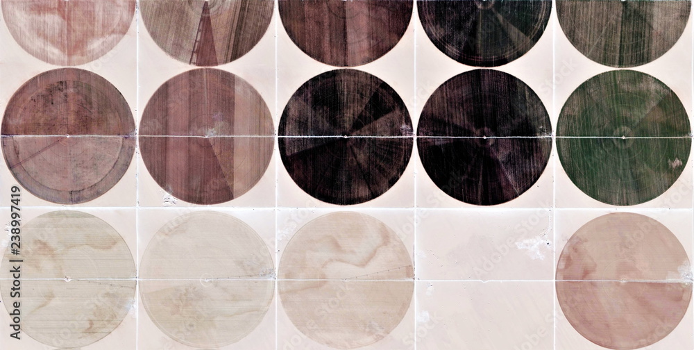 Photo & Art Print Where is Wally, farms of human crops in the desert ...