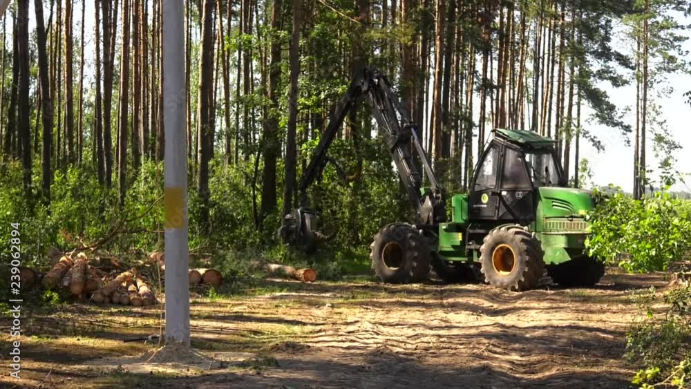 Stockvideo Forestry equipment making deforestation coniferous forest ...