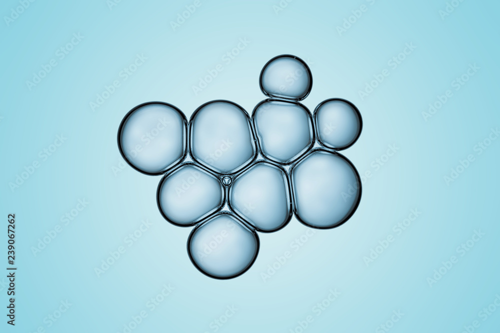 Cells division process, Cell divides into two cells Stock Photo | Adobe ...