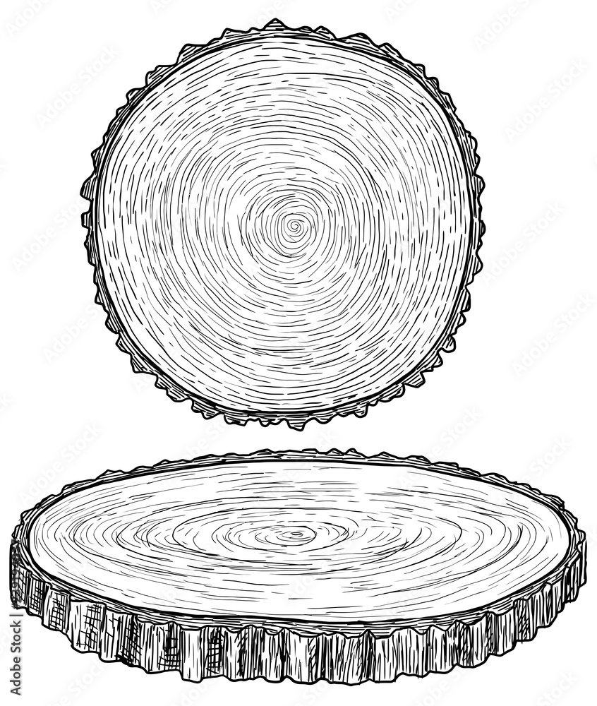 Cut tree illustration, drawing, engraving, ink, line art, vector Stock ...