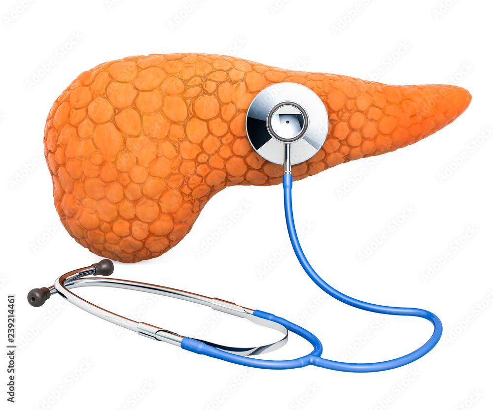 Human pancreas with stethoscope. Research and diagnosis of pancreatic ...