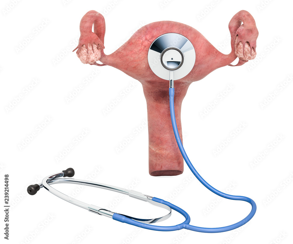 Uterus with stethoscope. Research and diagnosis of uterus concept, 3D ...
