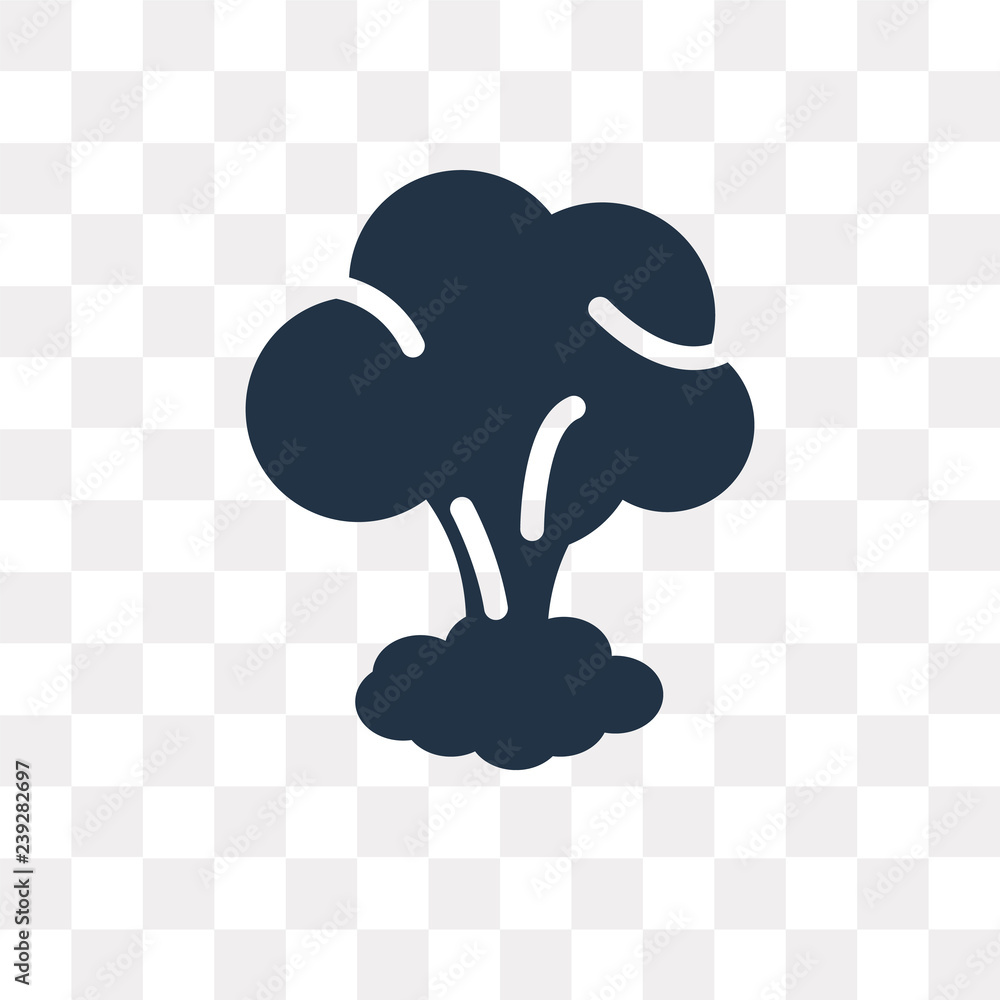 Bomb Explosion vector icon isolated on transparent background, Bomb ...