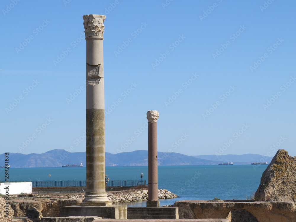 Carthago ruins of capital city of the ancient Carthaginian civilization ...