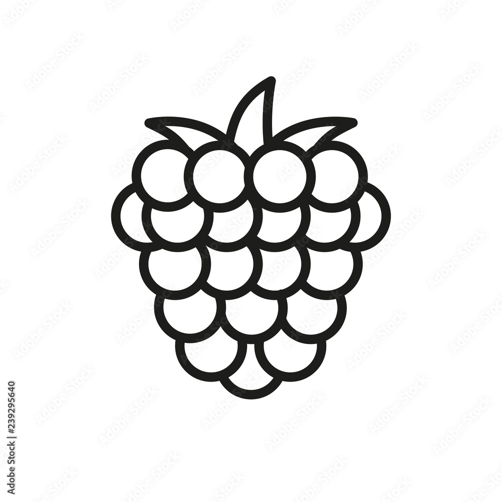 Raspberry Outline