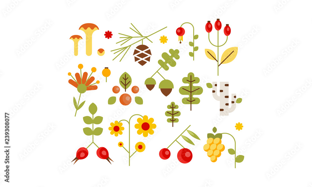 Collection of forest design elements, botanic signs, herbs, mushrooms ...