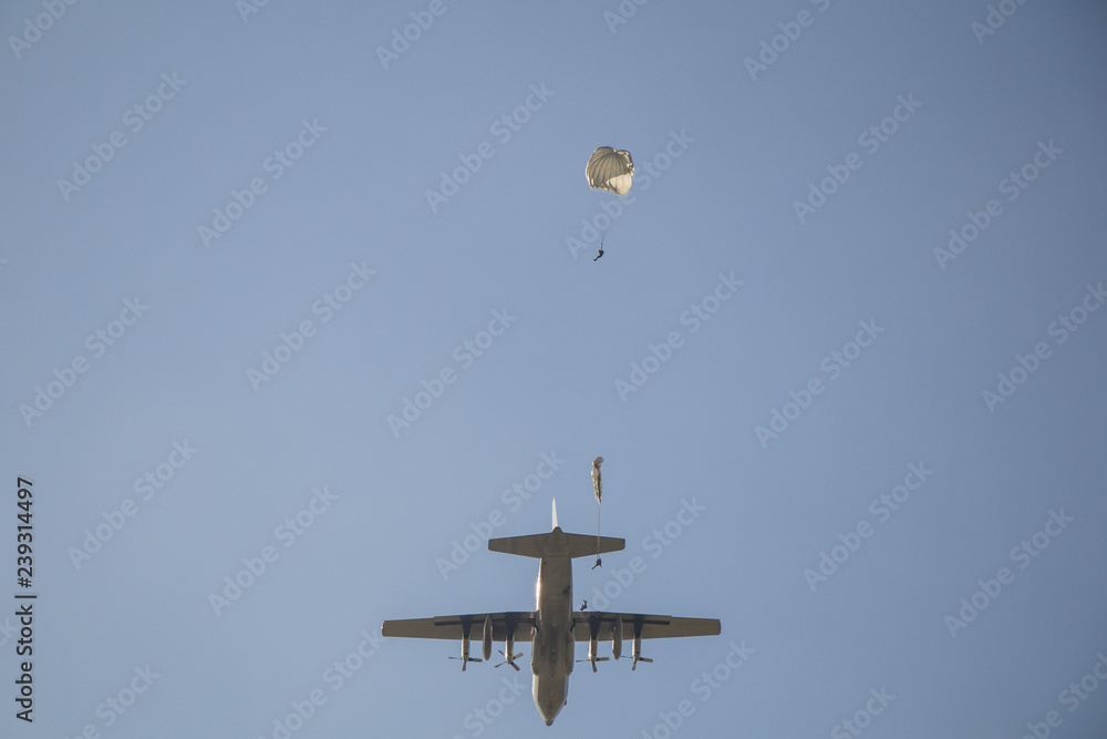 Airplane and paratroopers with parachutes in the sky .Military ...