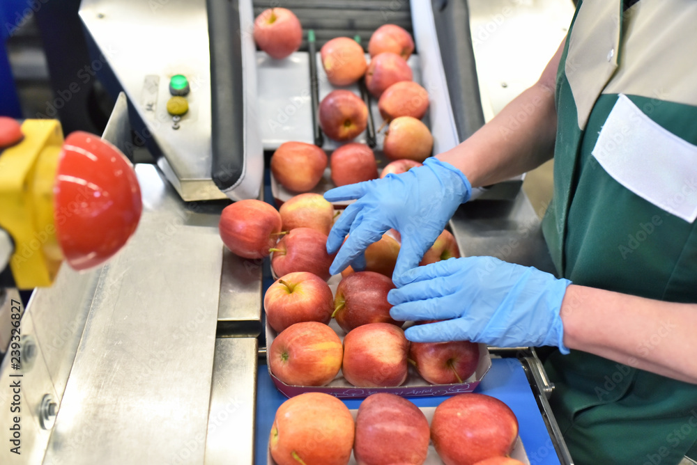 Food Assembly Line