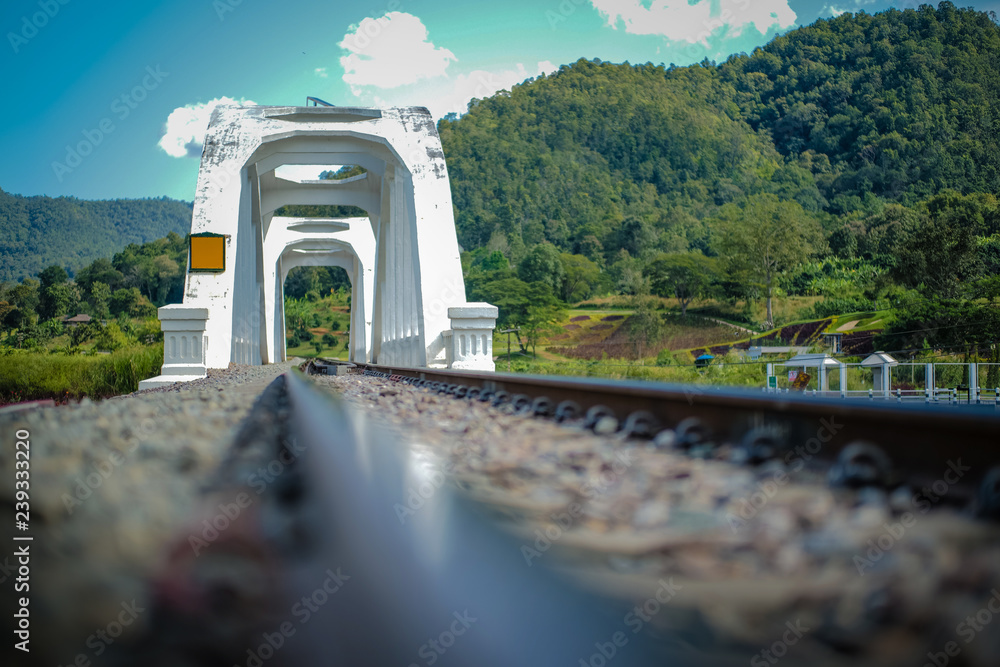 Poster River Bridge Railroad – Wall Art | UkPosters