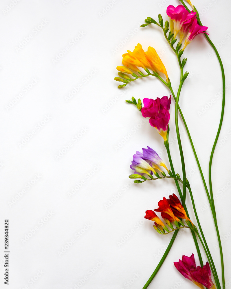 Freesia Flowers Bouquet