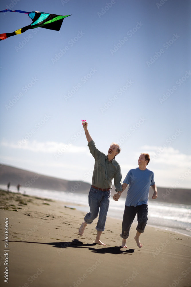 Homosexual male couple flying a kite while holding hands on a beach ...