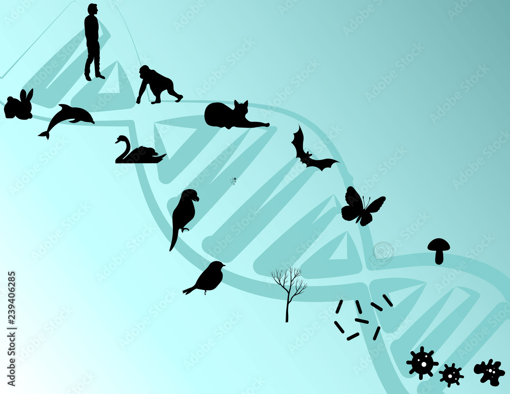 Evolution illustration vector design. Diversity of creatures united by ...