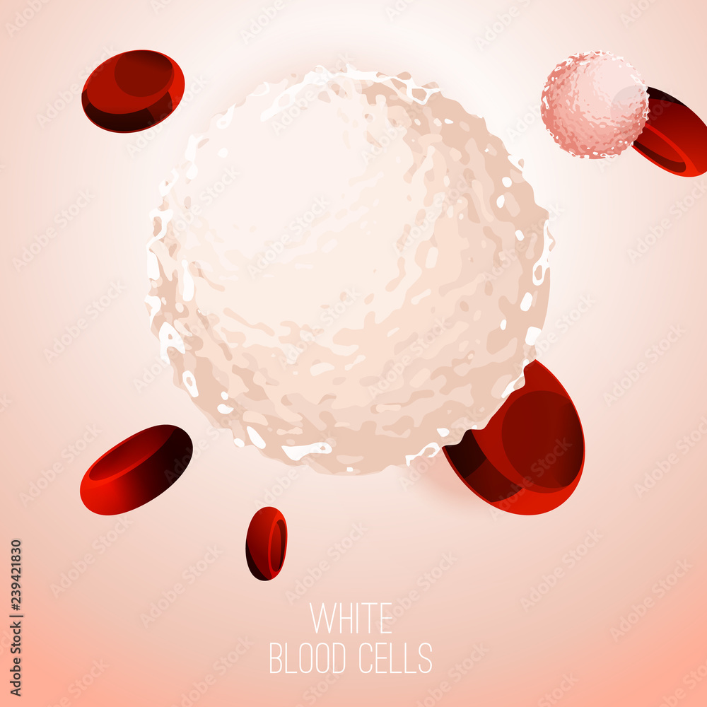 Blood Cells Background Stock Vector | Adobe Stock