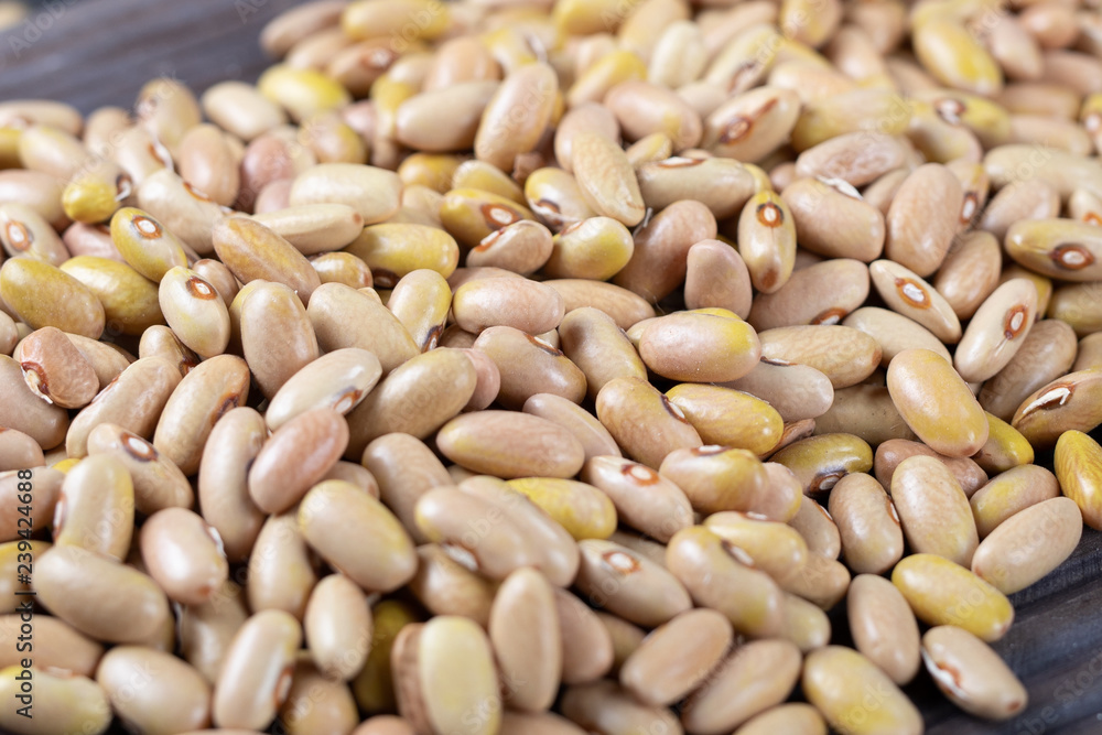 Phaseolus is scientific name of Pinto Bean legume. Also known as Frijol ...