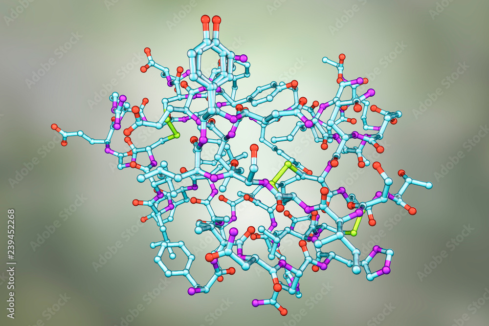 Molecular model of insulin hormone, 3D illustration. It is produced by ...
